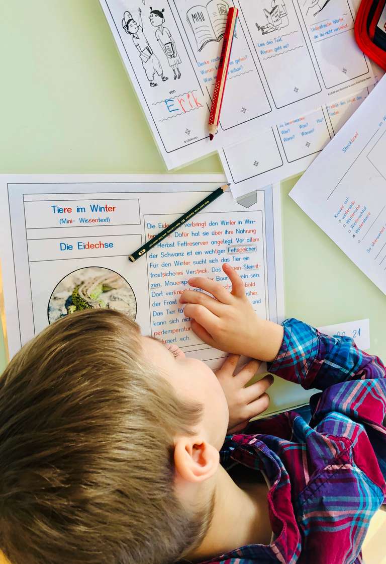 Different Activities for Different Learning Styles - Fun, Facts and Crafts