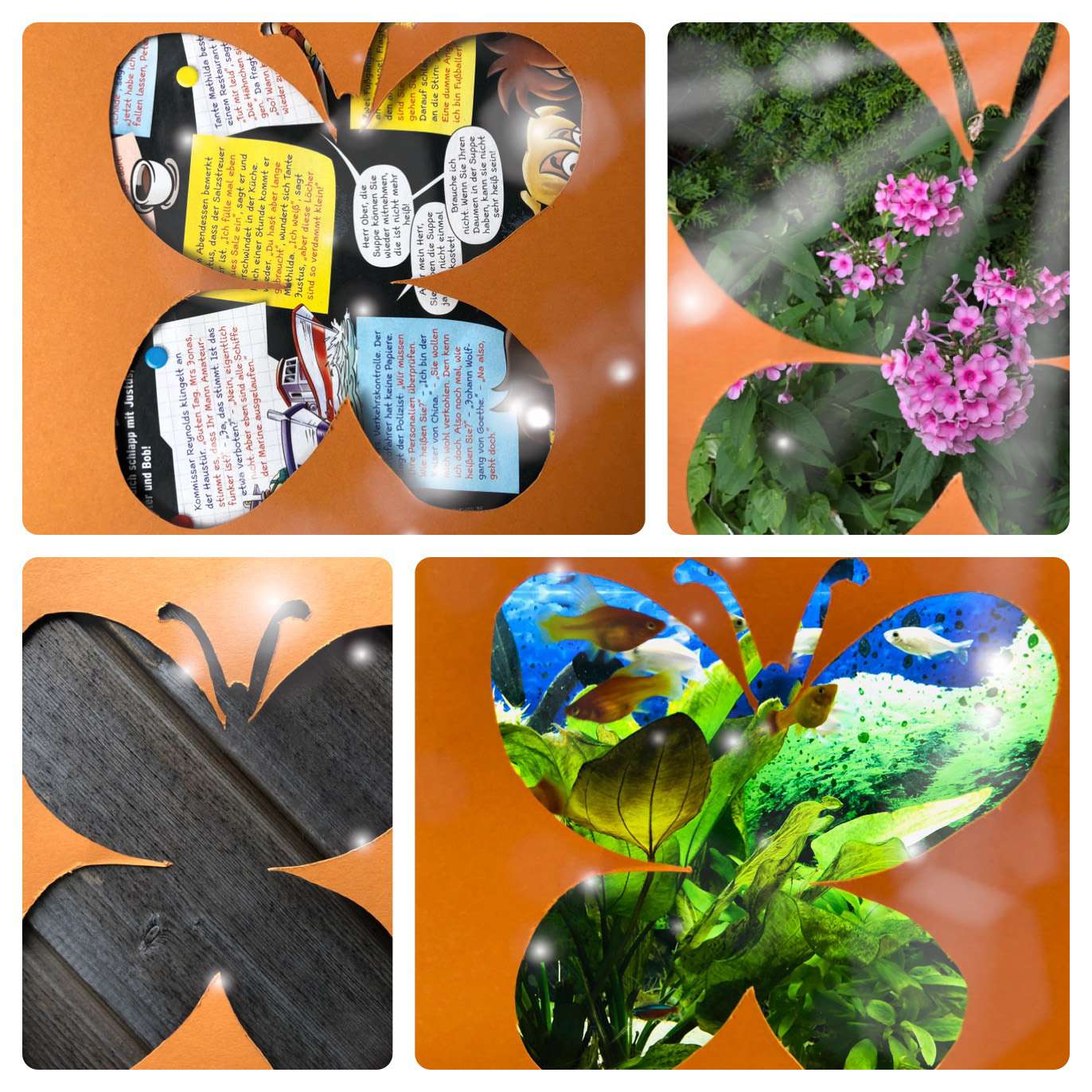 Fun activities in nature: catch a butterfly