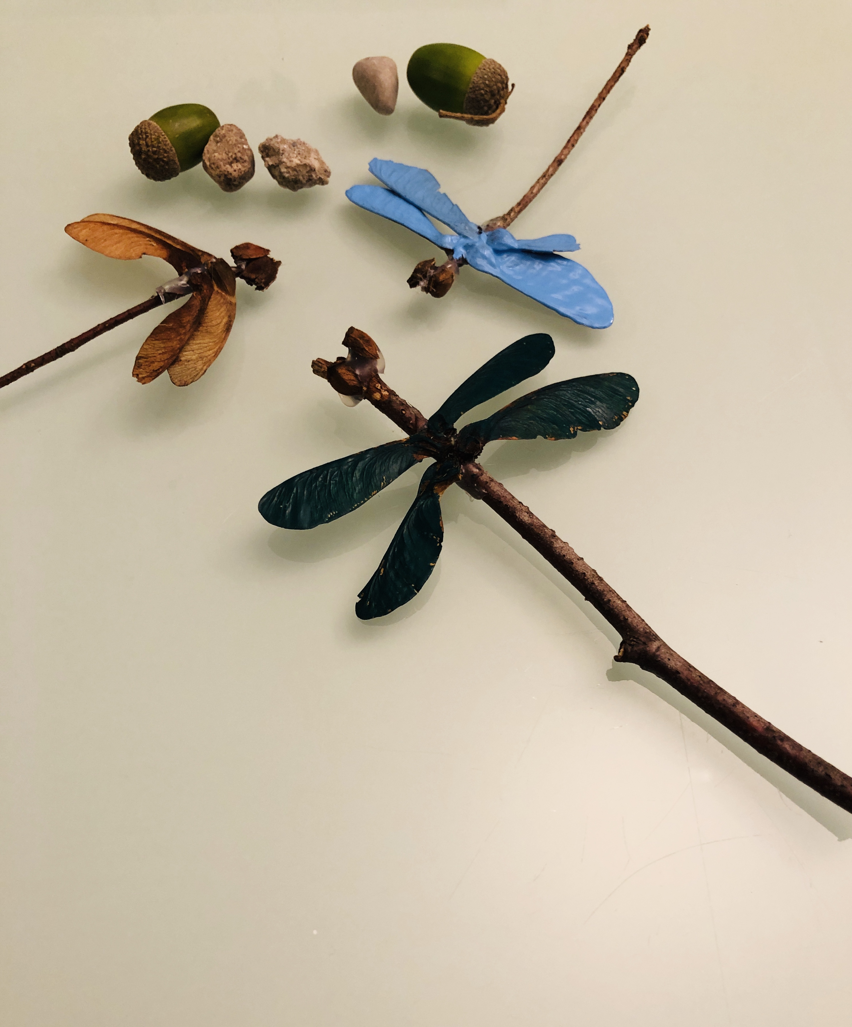How to Make a Dragonfly-Crafts and Interesting Facts
