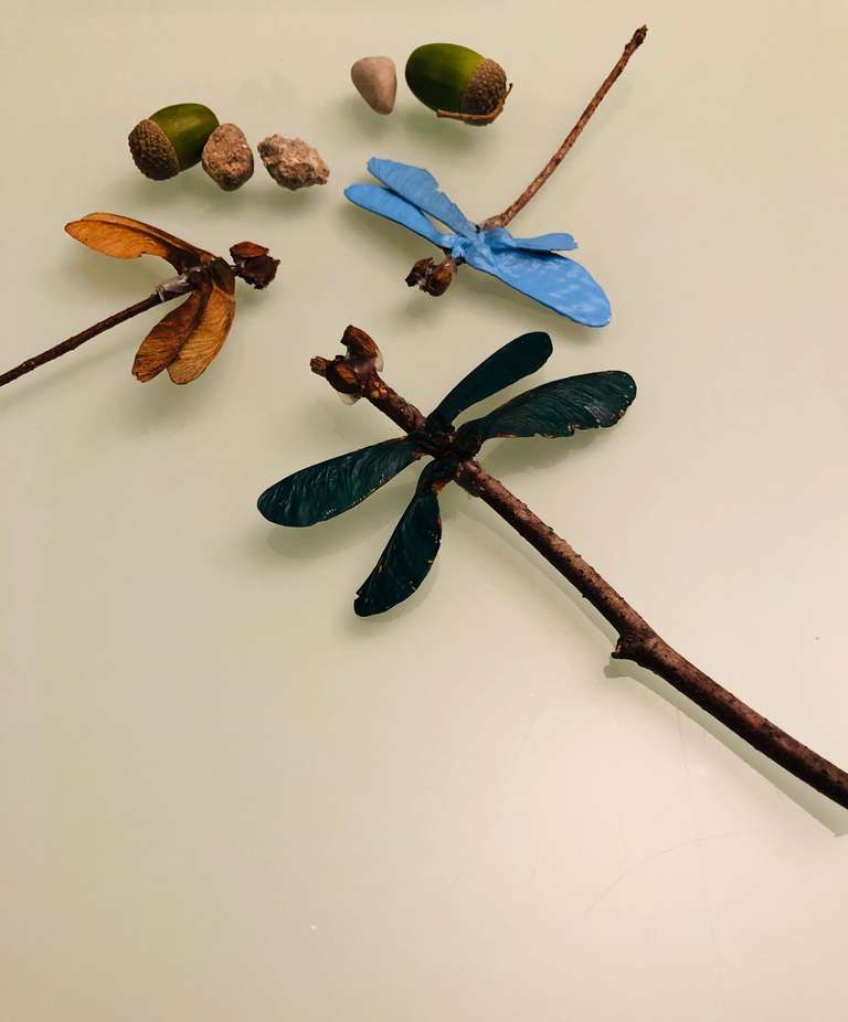 How to Make a Dragonfly-Crafts and Interesting Facts