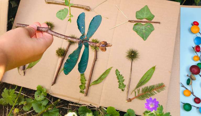 How to Make a Dragonfly-Crafts and Interesting Facts